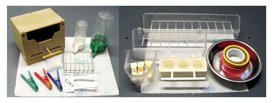 Breeding Cage | Laraine's Lady Gouldians