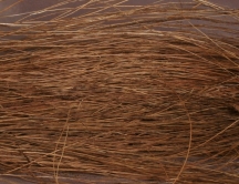 Nesting Materials | Laraine's Lady Gouldians